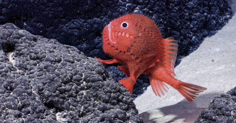 Demonstration of a deep sea robot - NRC