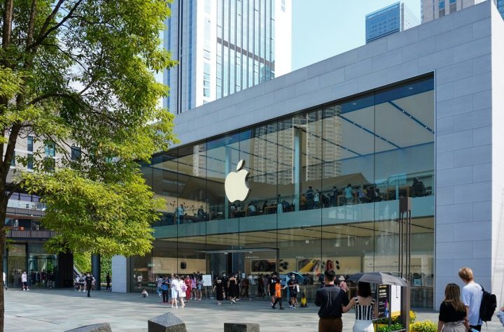 See the amazing fossils from a prehistoric rainforest recently ...